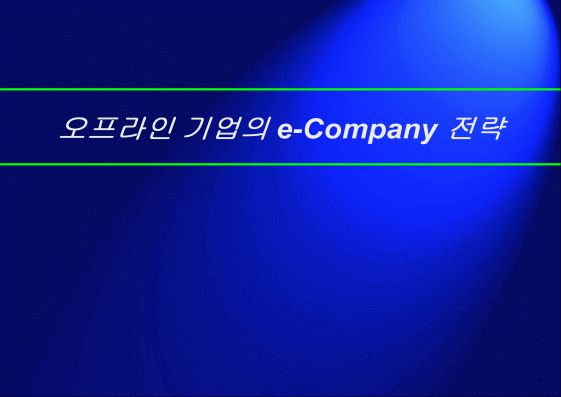 오프라인 기업의 e-Company 전략