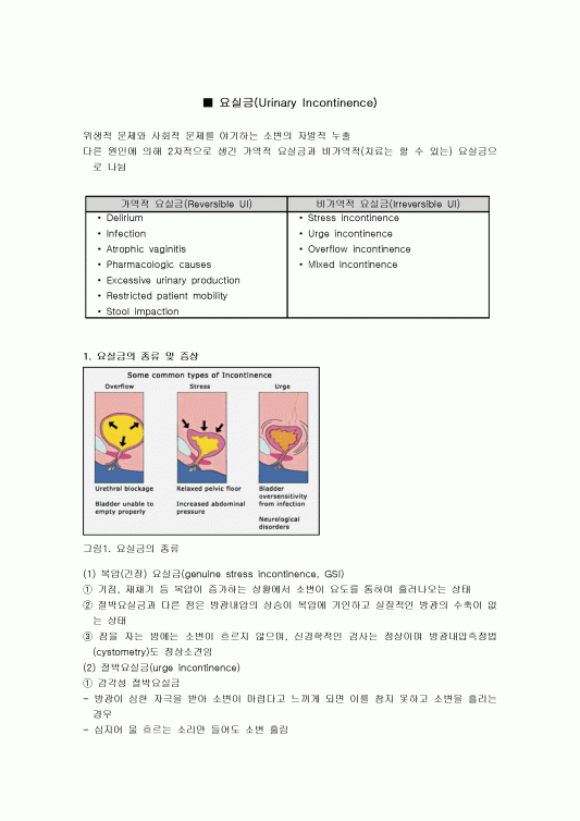 [독후감/서평/요약] 요실금(Urinary Incontinence)
