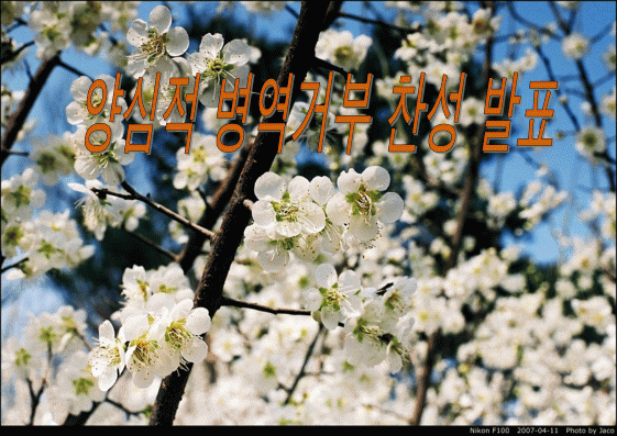 양심적 병역거부 찬성
