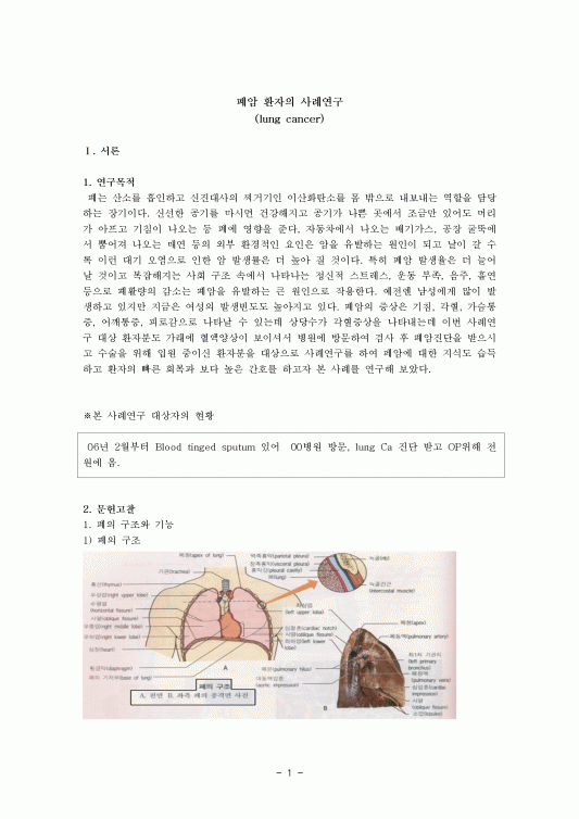 폐암사례연구