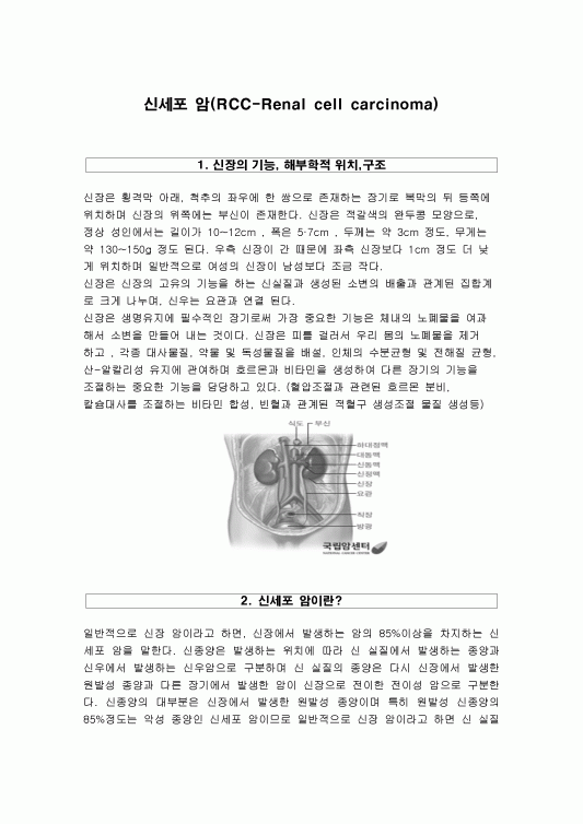 신세포암(RCC-Renal cell carcinoma)문헌고찰
