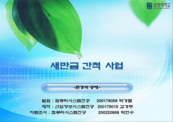 새만금간척사업 시화호 환경과공해 정부정책