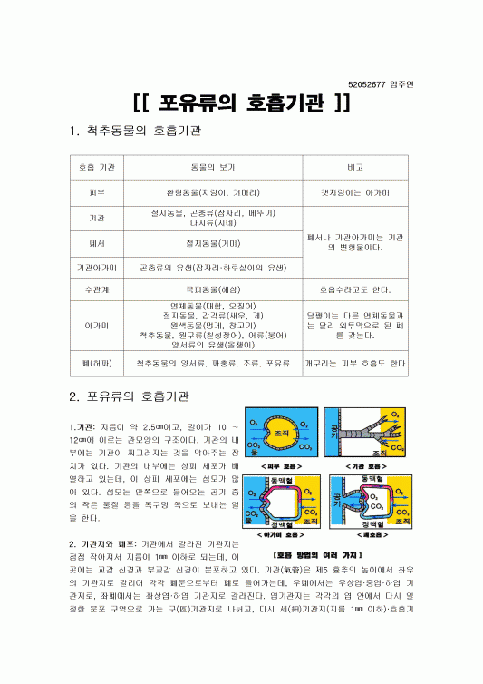 포유류의 호흡