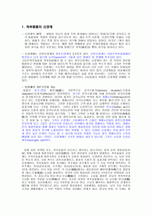 척추동물의 신경계