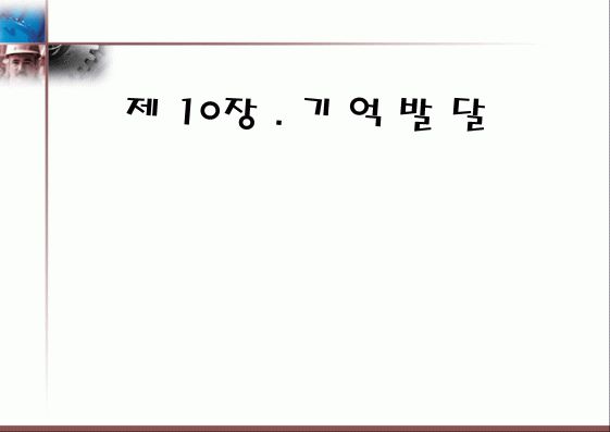 기억발달 레포트 자료