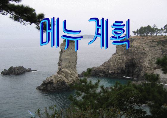 레스토랑메뉴계획