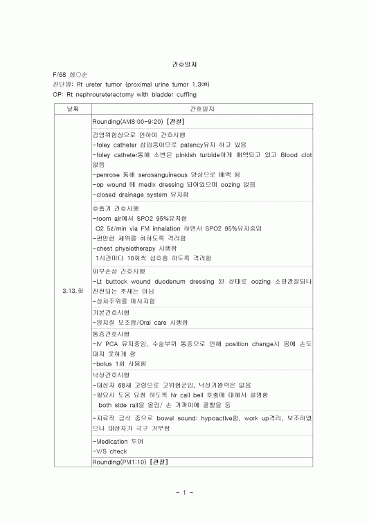 간호일지 레포트 자료