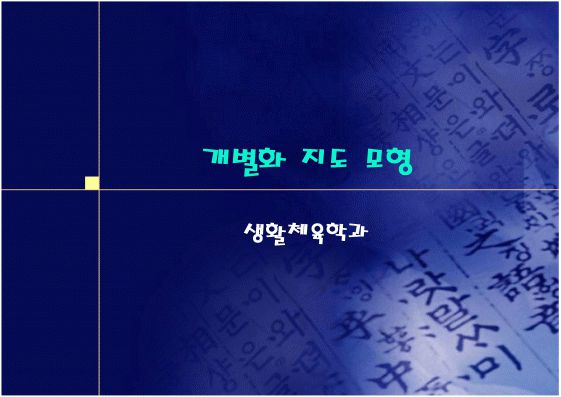 개별화 지도 모형