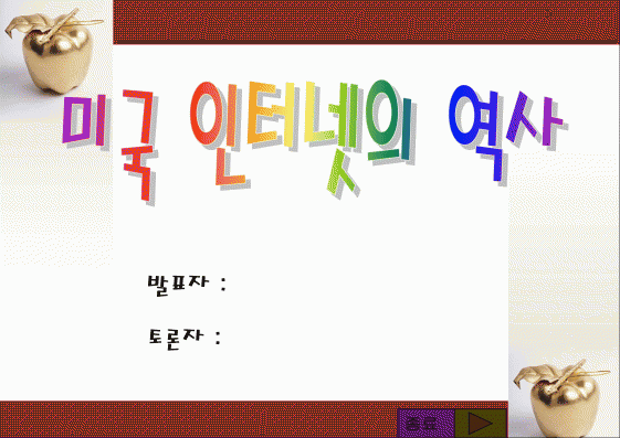 미국 인터넷 역사