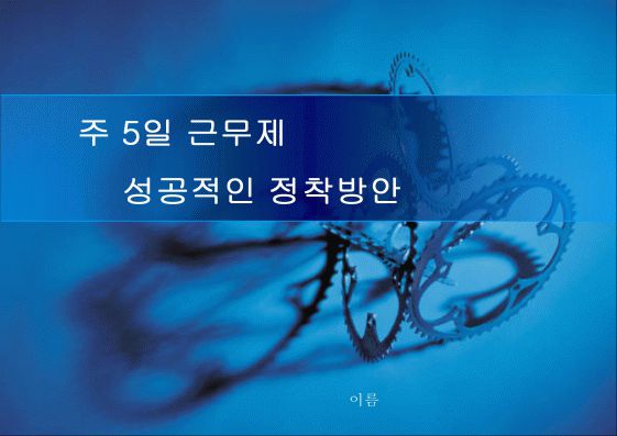 주5일 근무제의 성공적인 정착방안