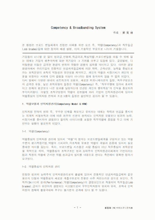 컨피턴시와 브로드밴딩시스템