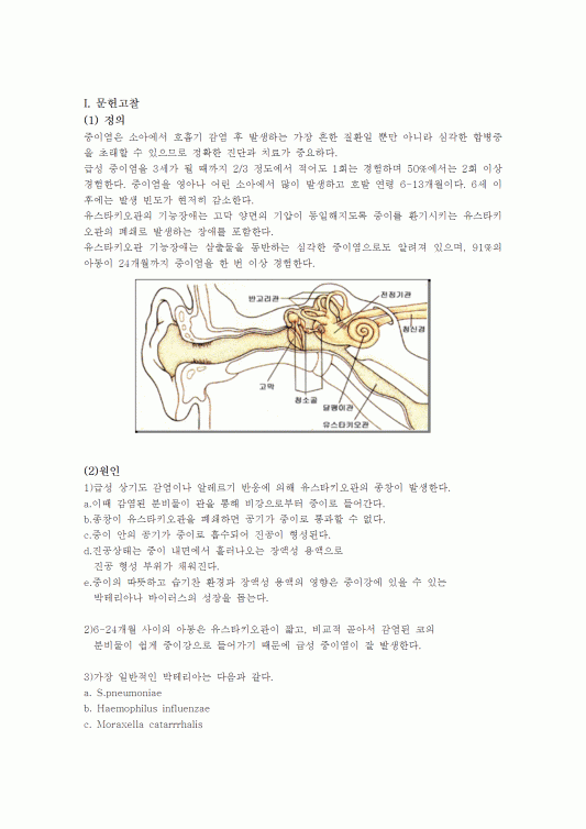 급성중이염 레포트 자료