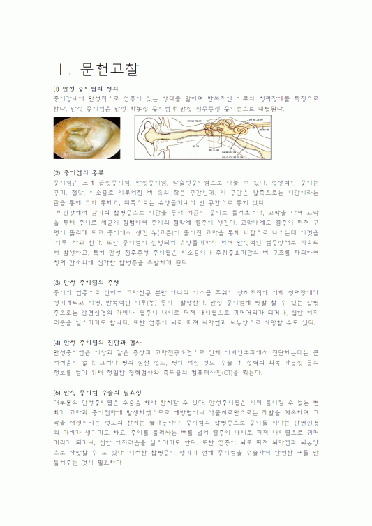 Tympharoplasty withmastoidectomy L)M&T 케이스