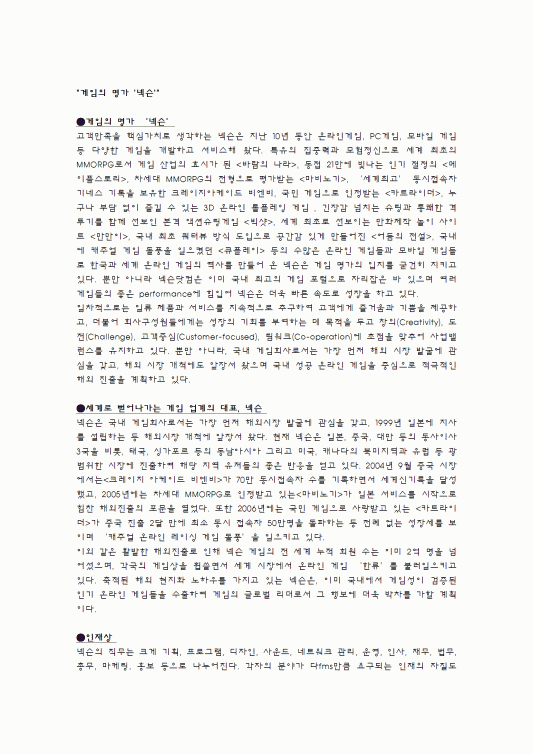 기업탐방보고서 넥슨