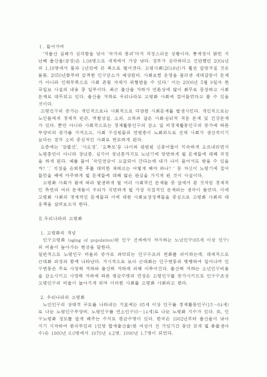 고령화 사회의 경제적 문제 해결을 위한 제도들을 중심으로 한 고령화 사회 대책