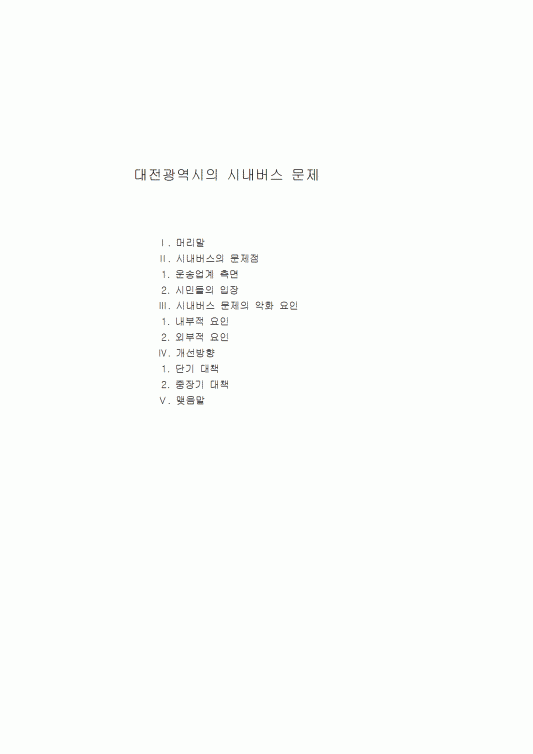대전광역시의 시내버스 문제