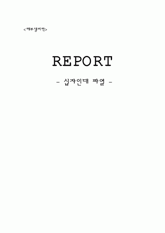 질환-십자인대파열
