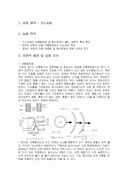 연소실험 레포트 자료
