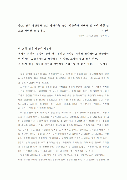 니체에 관한 생각