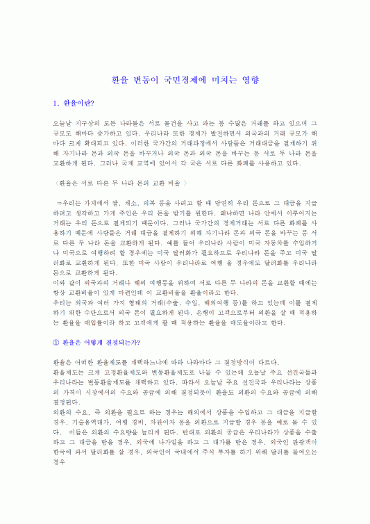 [사회과학] 환율이 국민경제에 미치는 영향
