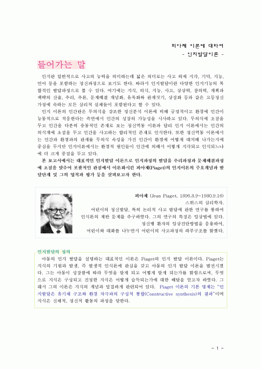 피아제 이론에 대하여 (인지발달이론)