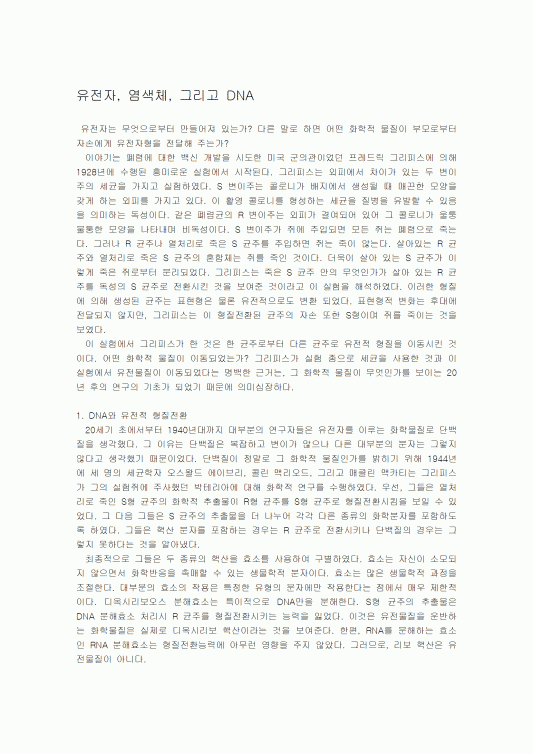 유전자 염색체 그리고 DNA