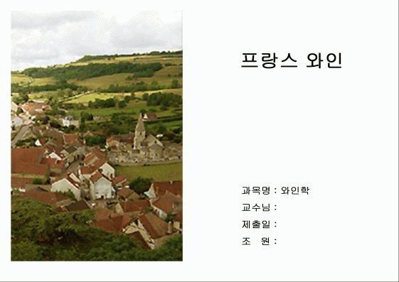 프랑스 와인 레포트 자료