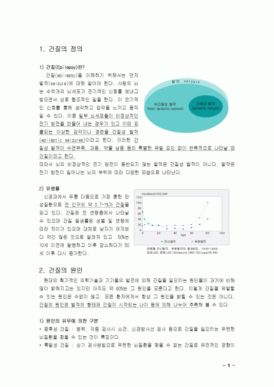 간질간호 레포트 자료
