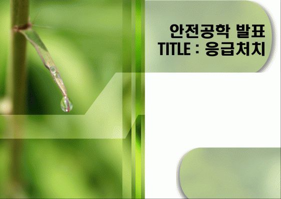 응급처치 적절한 응급처치의 중요성 응급처치의 일반원칙 응급상황의 종류 안전공학 산업공학 심폐소생술 화상