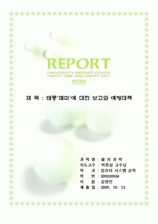 태풍‘매미’에 대한 보고와 예방대책