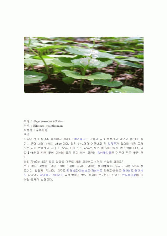 우리 꽃 학명과 특징조사