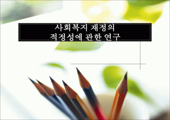 사회복지 재정의 적정성 분석