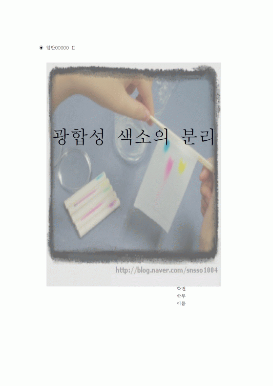[자연과학] 광합성색소의 분리