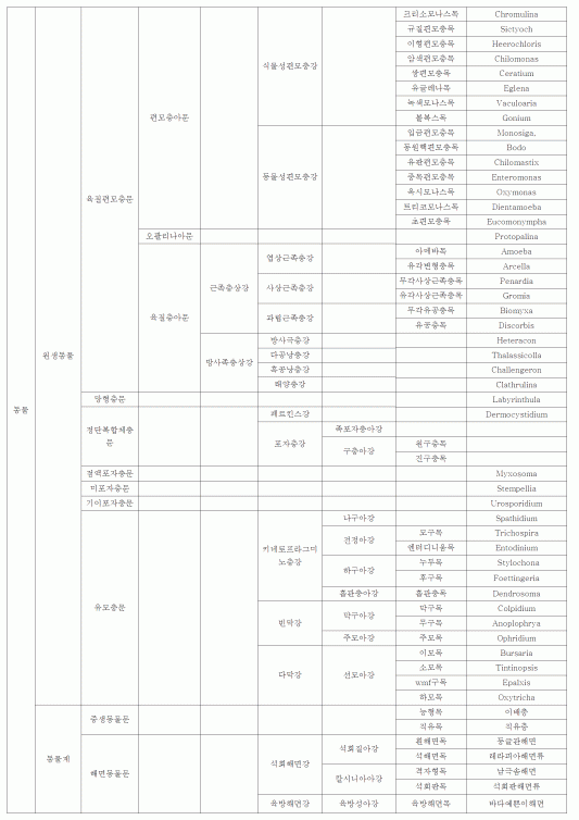 동물분류표 레포트 자료