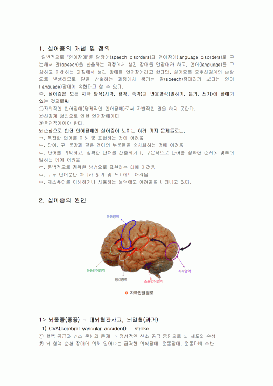 실어증 언어장애(language disorders)