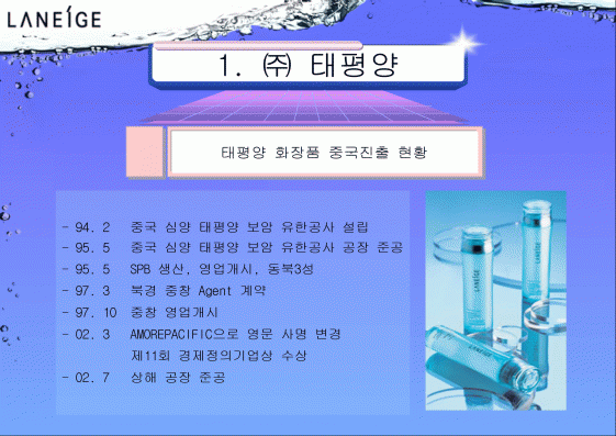[마케팅] 태평양 중국 진출 마케팅 분석