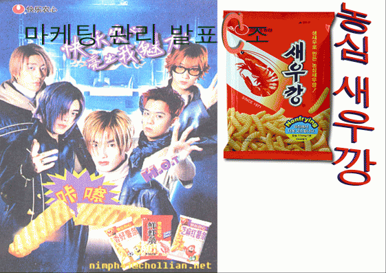 새우깡 분석 레포트 자료