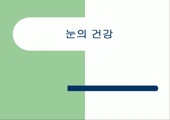 눈의 건강 레포트 자료