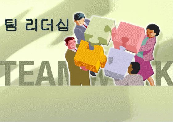 팀 리더십 레포트 자료