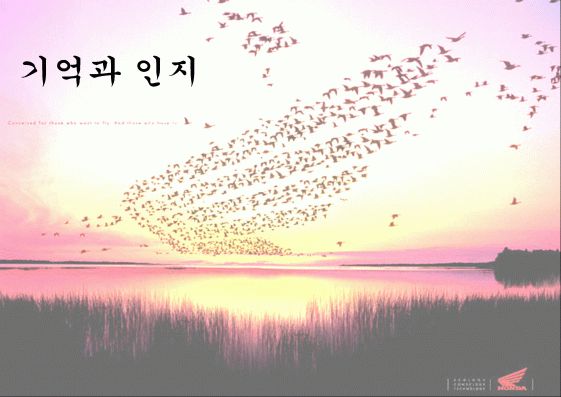 기억과 인지 레포트 자료