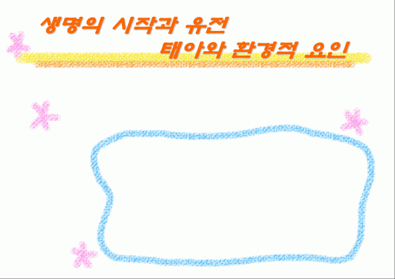 생명의 시작과 유전 태아와 환경적 요인