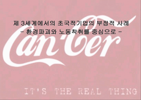 제 3세계에서의 초국적기업의 부정적 사례