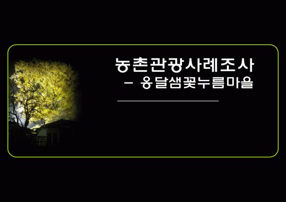 농촌관광사례조사- 옹달샘꽃누름마을