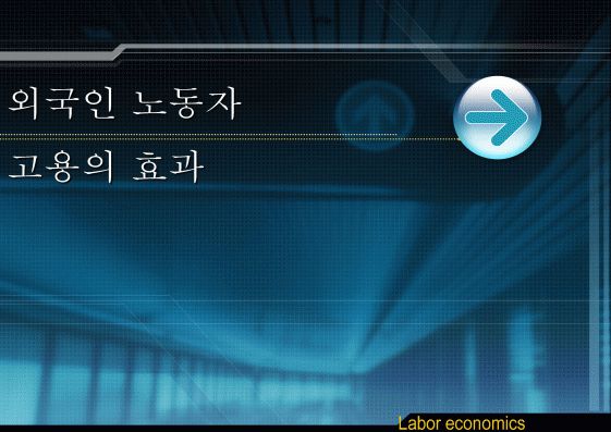 외국인 노동자 고용의 효과