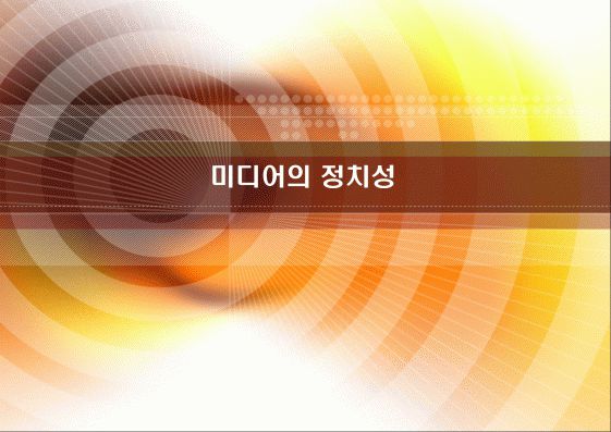 미디어의 정치성