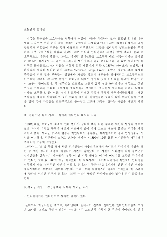 오늘날의 인디언