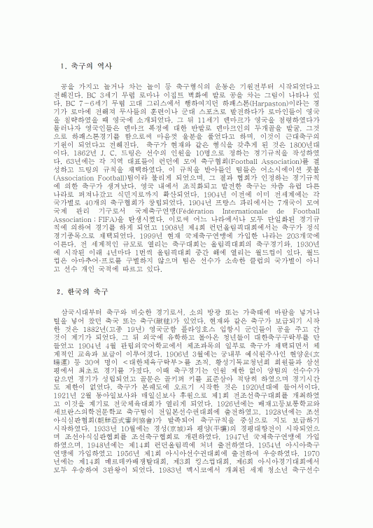 축구의 역사 레포트 자료