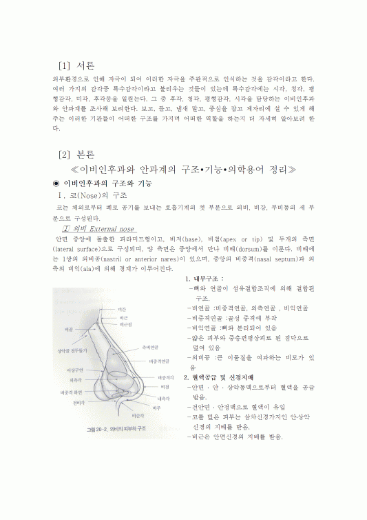 이비인후과와 안과계의 구조