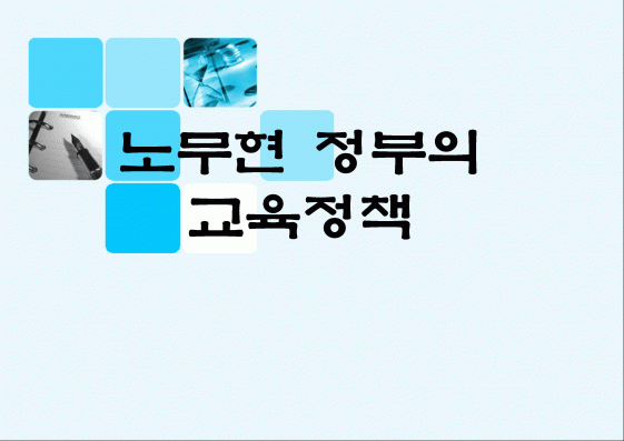 노무현 정부의 교육정책