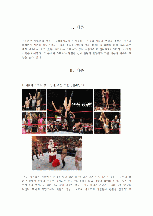 스포츠와 손잡은 성에관하여